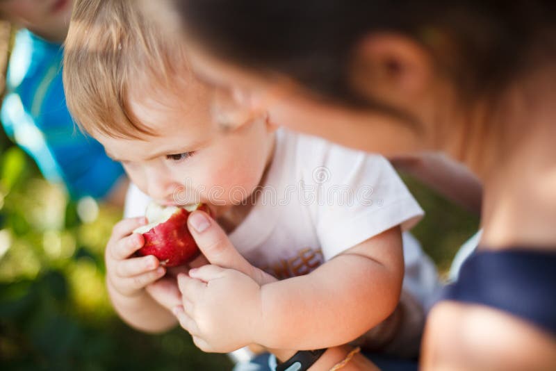 Baby eating an apple stock photo. Image of parenting - 31275992