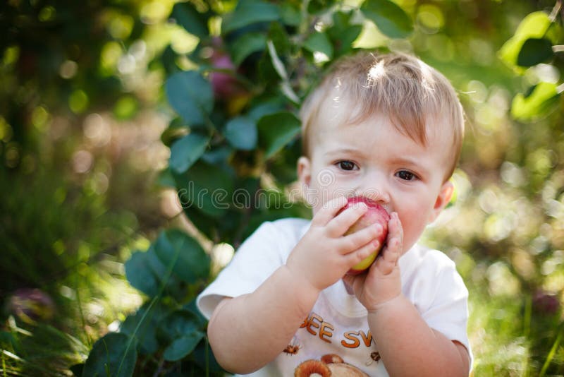Baby eating an apple stock photo. Image of outside, healthy - 31276020