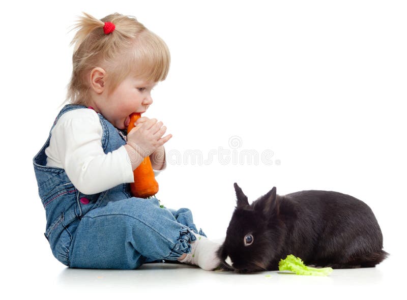 Boy feeding his pet rabbit stock photo. Image of feed - 32967288