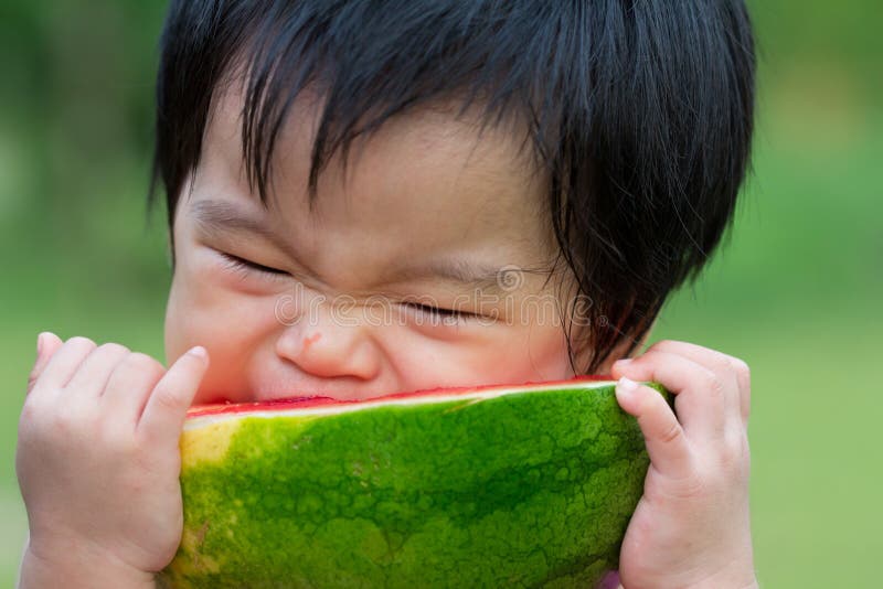 Baby eating watermelon stock photo. Image of garden, green - 24039796