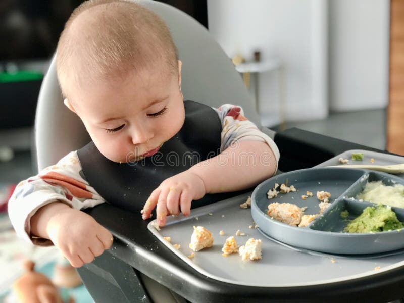 The Baby Eats Independently with His Hands while Sitting at the Feeding ...