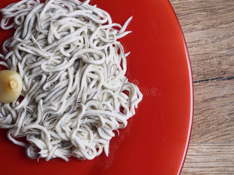 Baby Eels stock image. Image of eels, elvers, baby, angula - 28169169