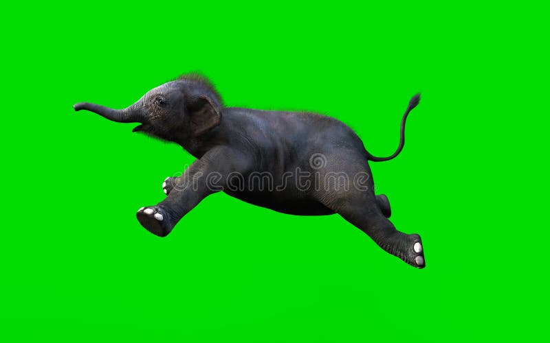 Baby Elephant Moving and Jumping Stock Illustration - Illustration of ...