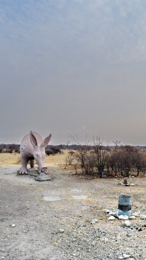 Baby elephant under a tree stock photo. Image of pachyderm - 116899686