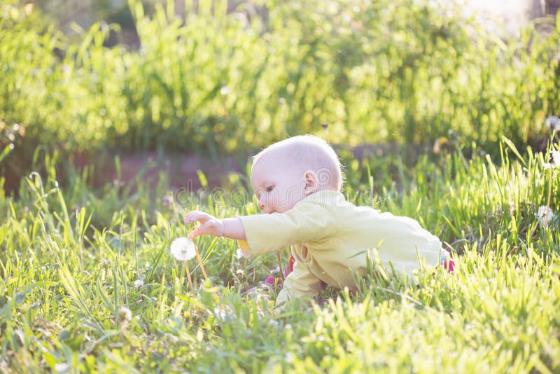 Baby eleven months months stock photo. Image of field - 54285384