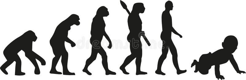 Baby to Man Evolution stock vector. Illustration of dummy - 29323311