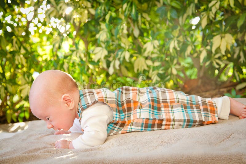 Baby Exercising: Push-ups stock image. Image of intelligence - 30589089