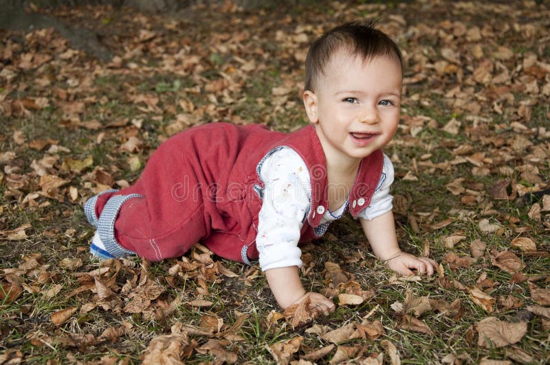 Baby exploring stock photo. Image of autumn, hand, expression - 11908598