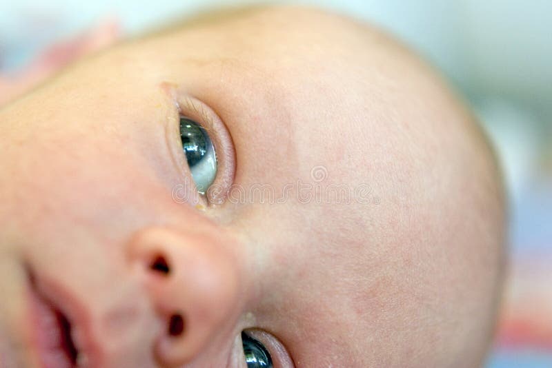 Baby Eyes Picture. Image: 969200