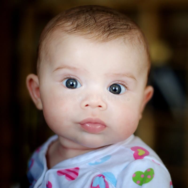 Stock Photos and Royalty-Free Images by Dreamstime