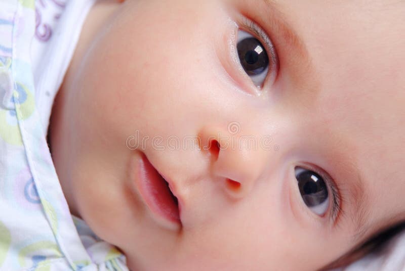 Baby Face stock photo. Image of baby, young, innocence - 2889612