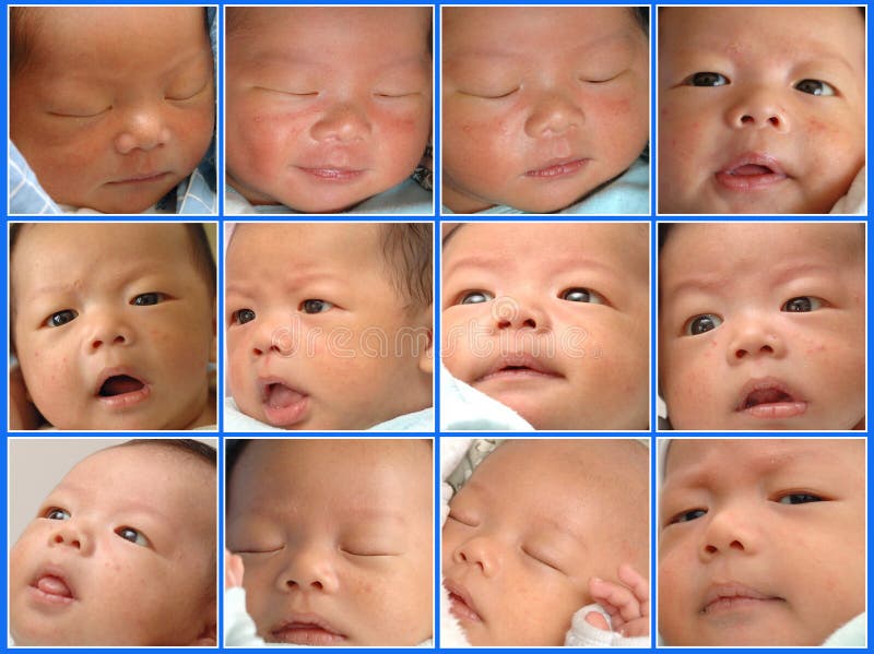 Baby face stock photo. Image of face, infant, sleep, expression - 8105768