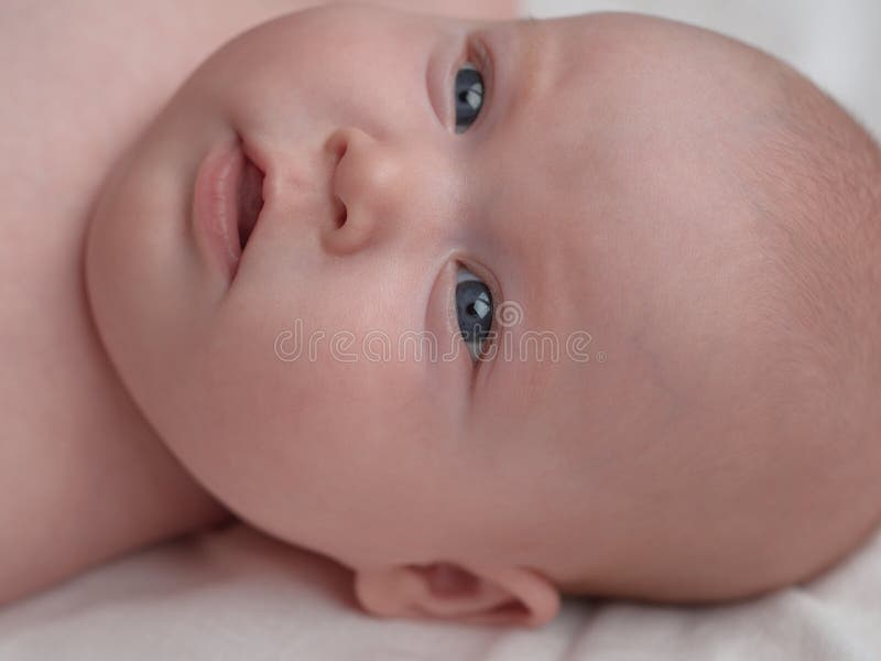 The baby stares intently. stock photo. Image of close - 150197992