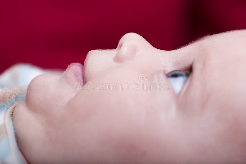 Baby face profile stock photo. Image of child, cute, stare - 5042654
