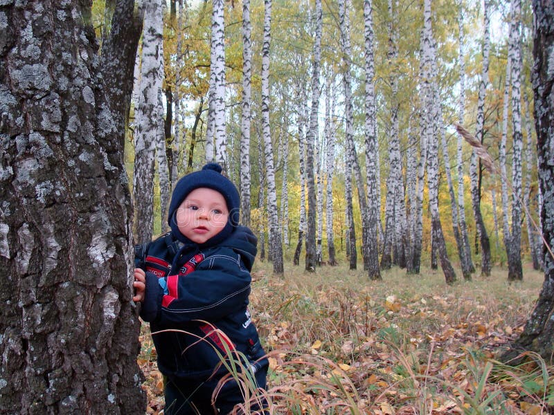 Baby in fall forest stock image. Image of grass, infant - 31631365