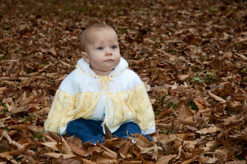Baby in fall leaves stock photo. Image of autumn, caucasian - 27278488