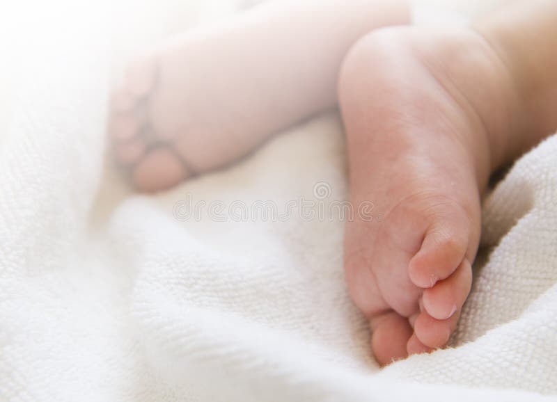 Baby feet stock image. Image of newborn, baby, sheet - 15254505