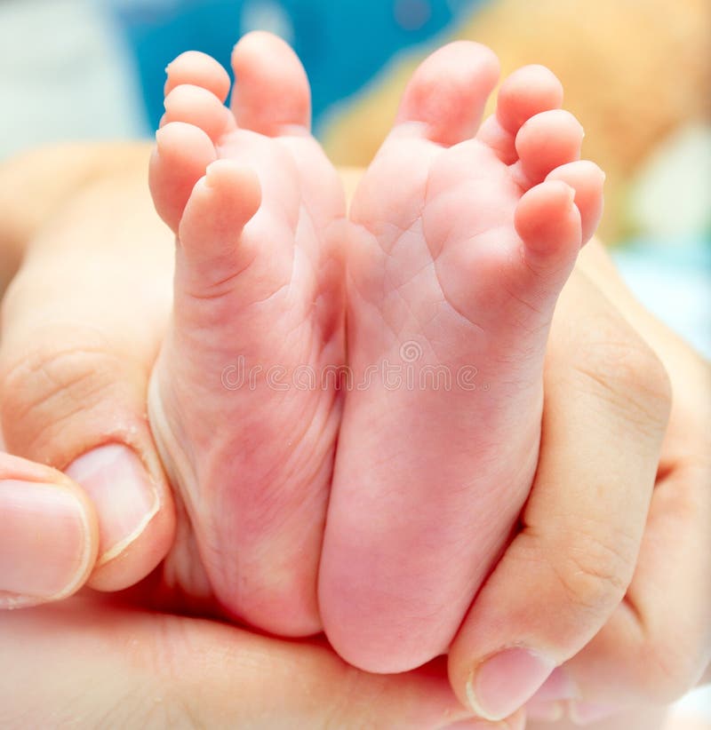 Baby feet stock photo. Image of babies, children, toes - 2354472