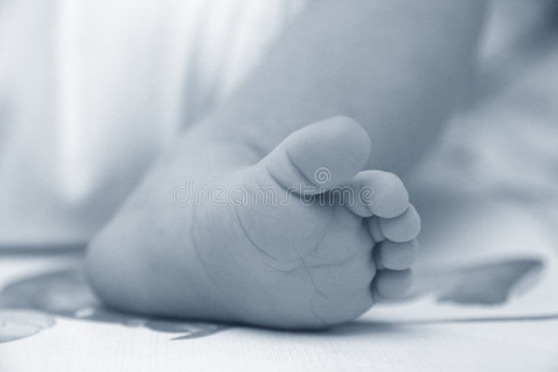 Baby feet stock photo. Image of infant, care, delicate - 1818442