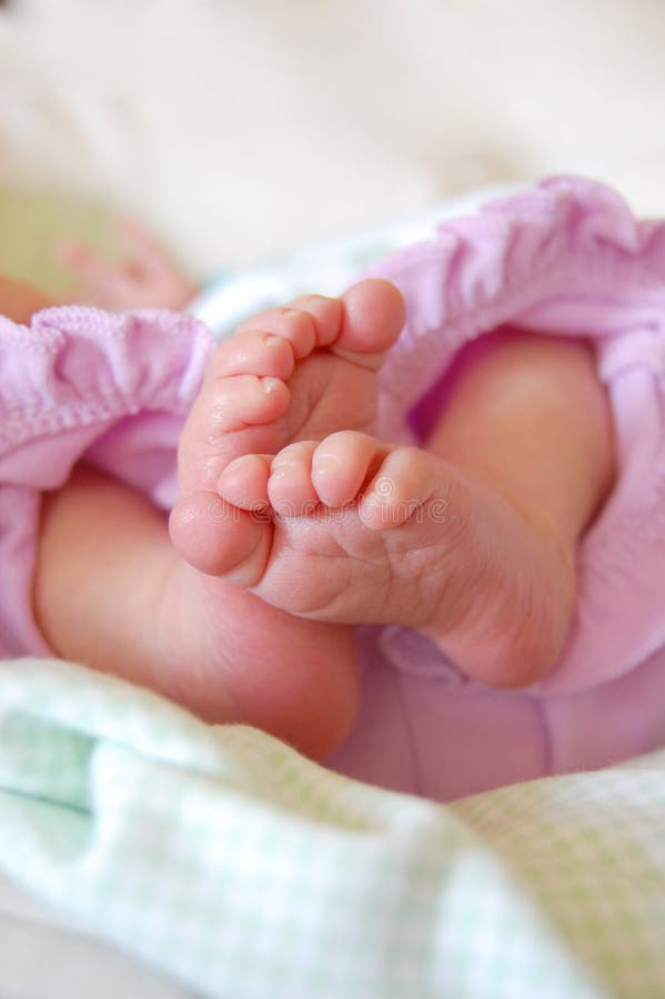 Baby feet stock photo. Image of born, blanket, foot, pink - 22822516