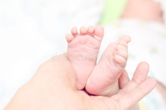 Baby feet stock photo. Image of family, gentle, fond - 24019808