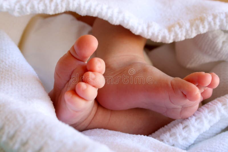 Baby Feet stock image. Image of morning, newborn, baby - 5202263