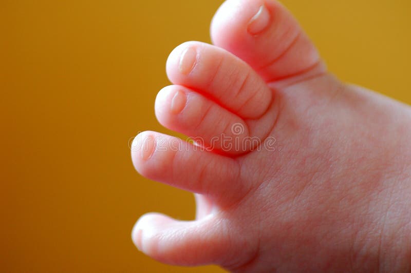 Baby Feet stock photo. Image of parenting, five, father - 547486