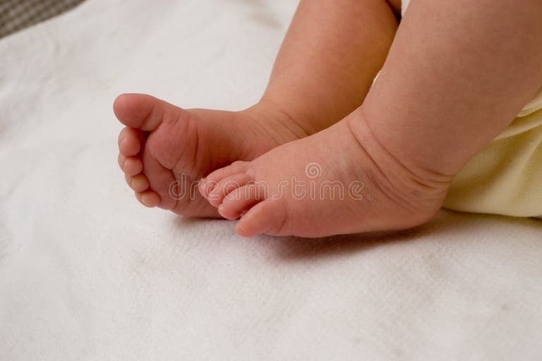 60,548 Cute Feet Stock Photos - Free & Royalty-Free Stock Photos from ...