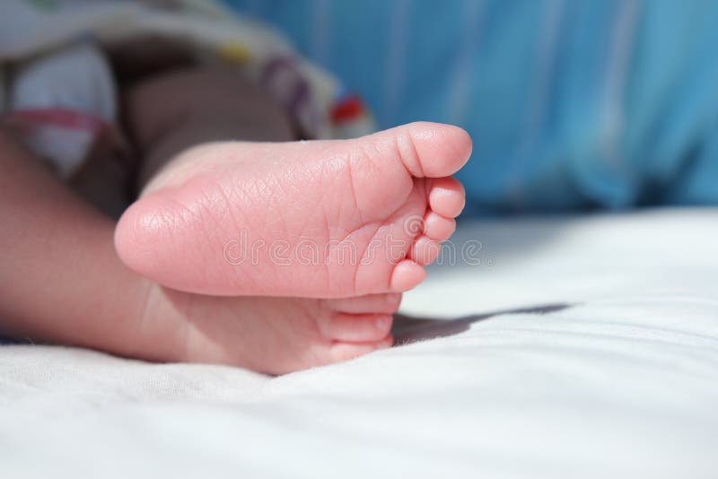 131 Baby Fee Stock Photos - Free & Royalty-Free Stock Photos from ...
