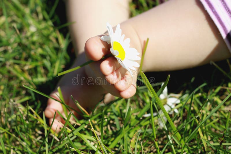 Baby feet with flower stock photo. Image of care, skin - 14979658