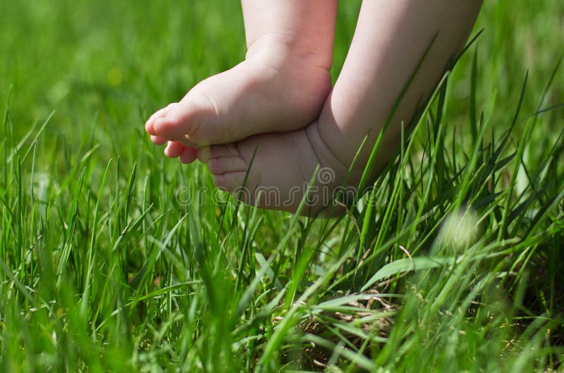 Cute Baby`s Feet on Green Grass Stock Image - Image of feet, sleeping ...