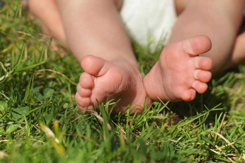 Baby feet on grass stock photo. Image of barefoot, green - 44509072