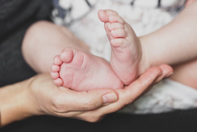 Baby feet in hand stock image. Image of hand, maternity - 107963301