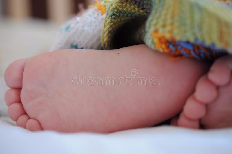 Baby feet stock photo. Image of legs, skin, baby, fingers - 91935064