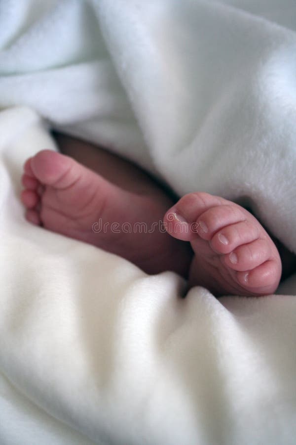 Curled baby toes stock image. Image of newborn, infant - 11989803