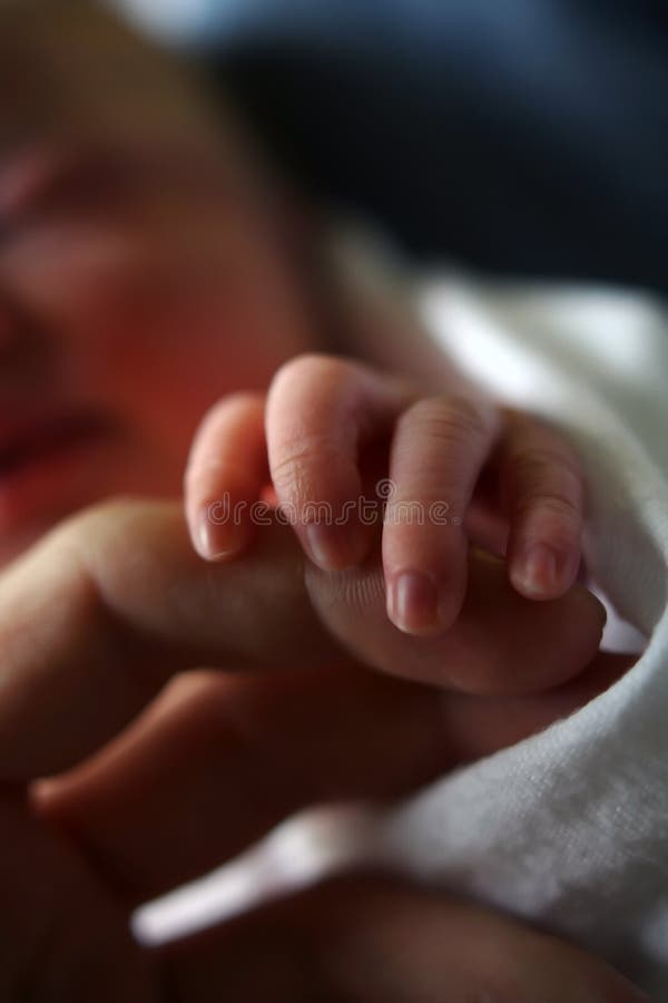 Baby Fingers stock photo. Image of holding, family, female - 1392102
