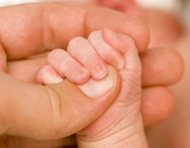 Baby Fingers stock photo. Image of holding, family, female - 1392102