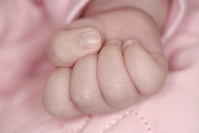 Baby fist stock photo. Image of gesture, peaceful, closed - 1763578