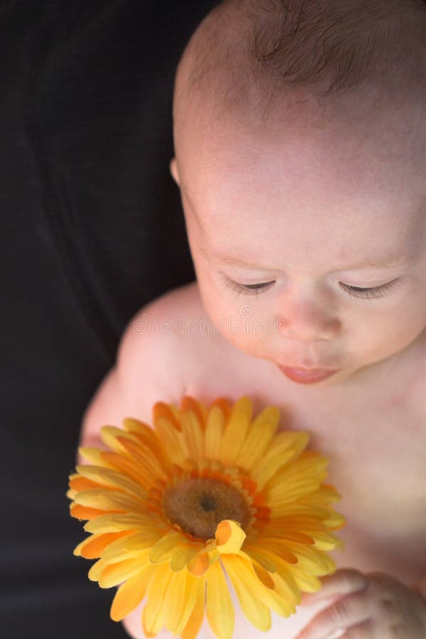 Baby with Flower stock image. Image of handsome, portrait - 1173673