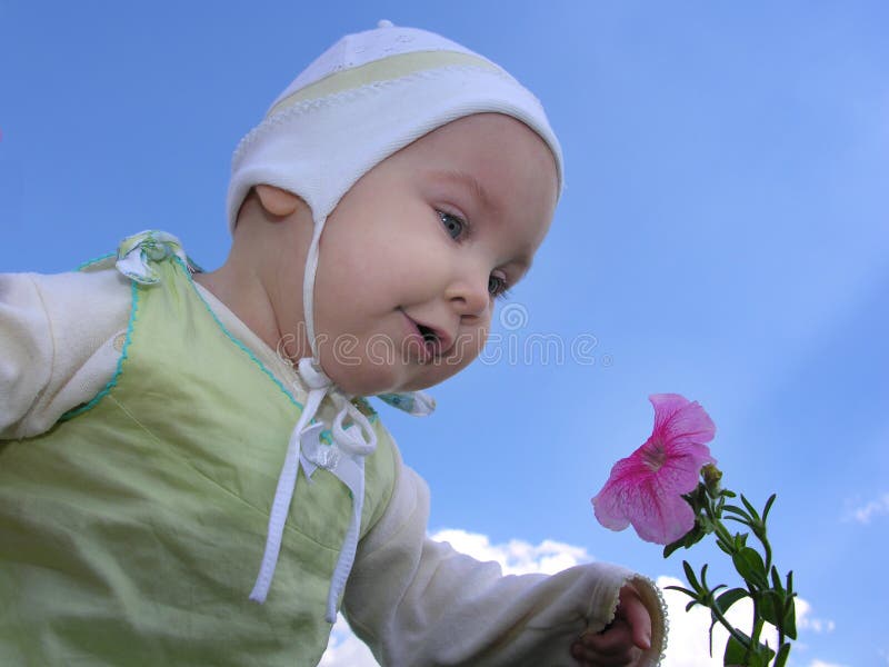 Baby with flower stock photo. Image of friend, happy, kiss - 595366