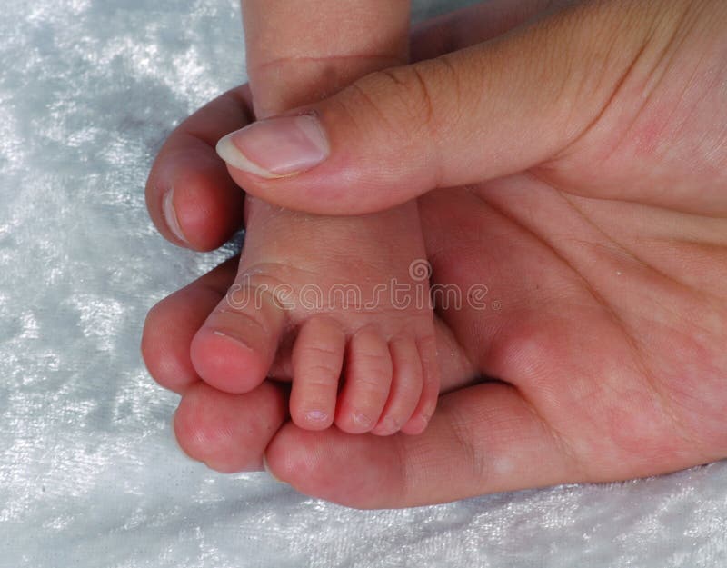 Baby foot stock photo. Image of child, adult, toes, birth - 1056156