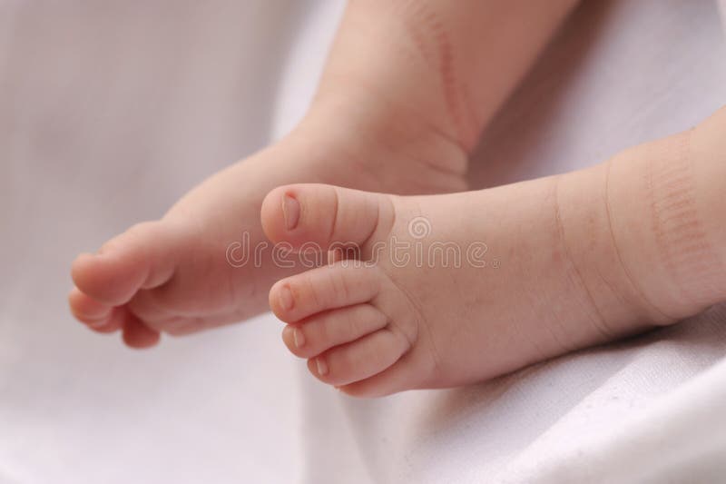 Baby foot stock photo. Image of foot, little, life, lovely - 19635096