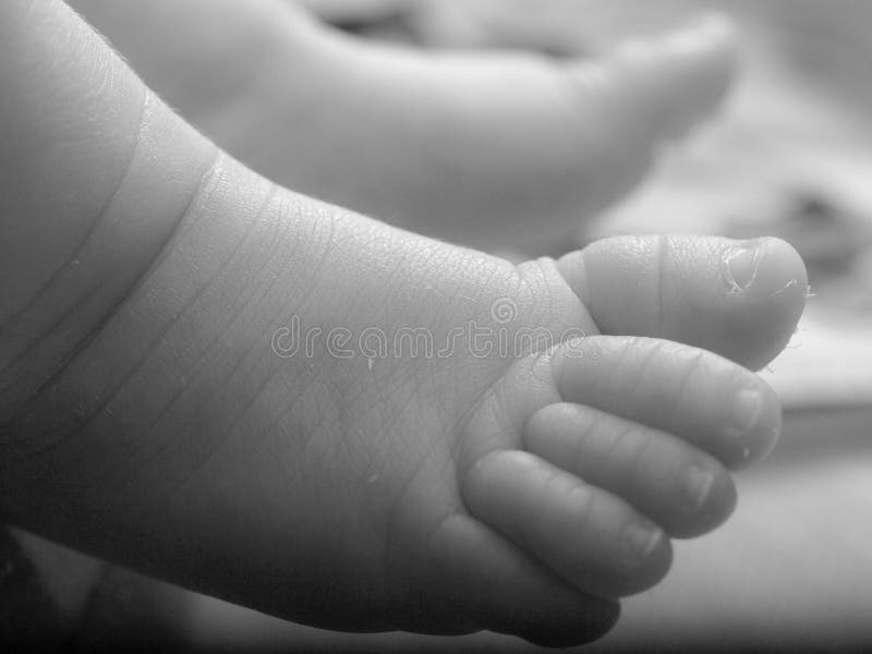 Baby foot stock photo. Image of newborn, child, small - 19724980