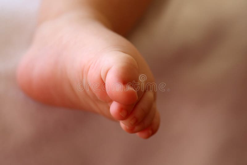 Baby foot stock photo. Image of health, childhood, protection - 23171894
