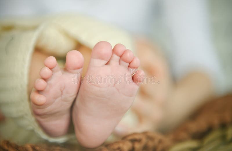 Baby foot stock photo. Image of human, mother, hand, shot - 24245878