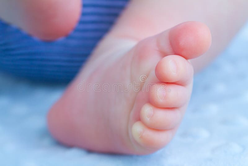 Baby Foot stock photo. Image of small, infant, foot, child - 28362542