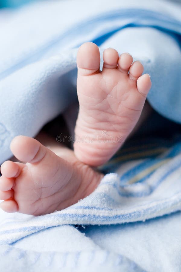 Baby foot stock image. Image of adorable, fatherhood, femal - 5669701