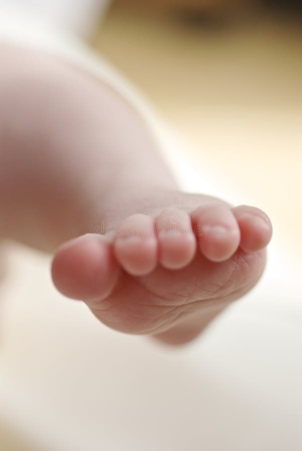 Baby foot stock image. Image of foot, skin, young, toes - 5722285