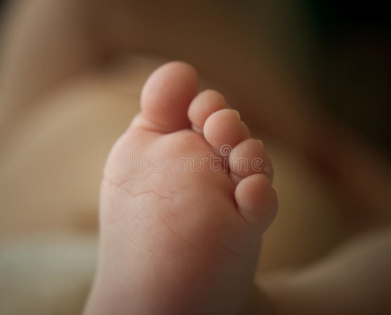 Baby foot stock photo. Image of legs, fingers, skin, macro - 663740