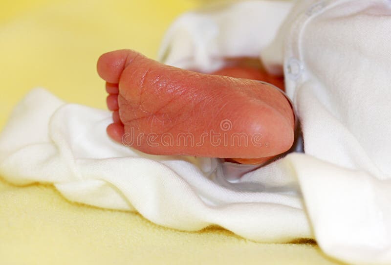 Baby foot stock photo. Image of cloth, care, born, cute - 9128390